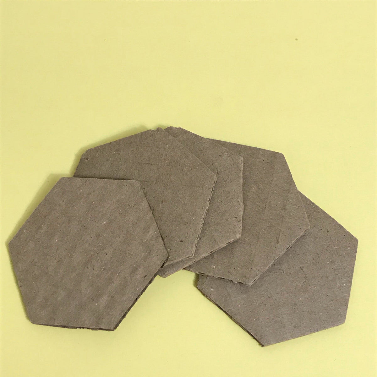 Cardboard Hexagon, set of 100 – Twin Leather Bird